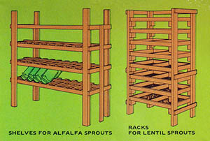 Growing Sprouts for Cash – Mother Earth News
